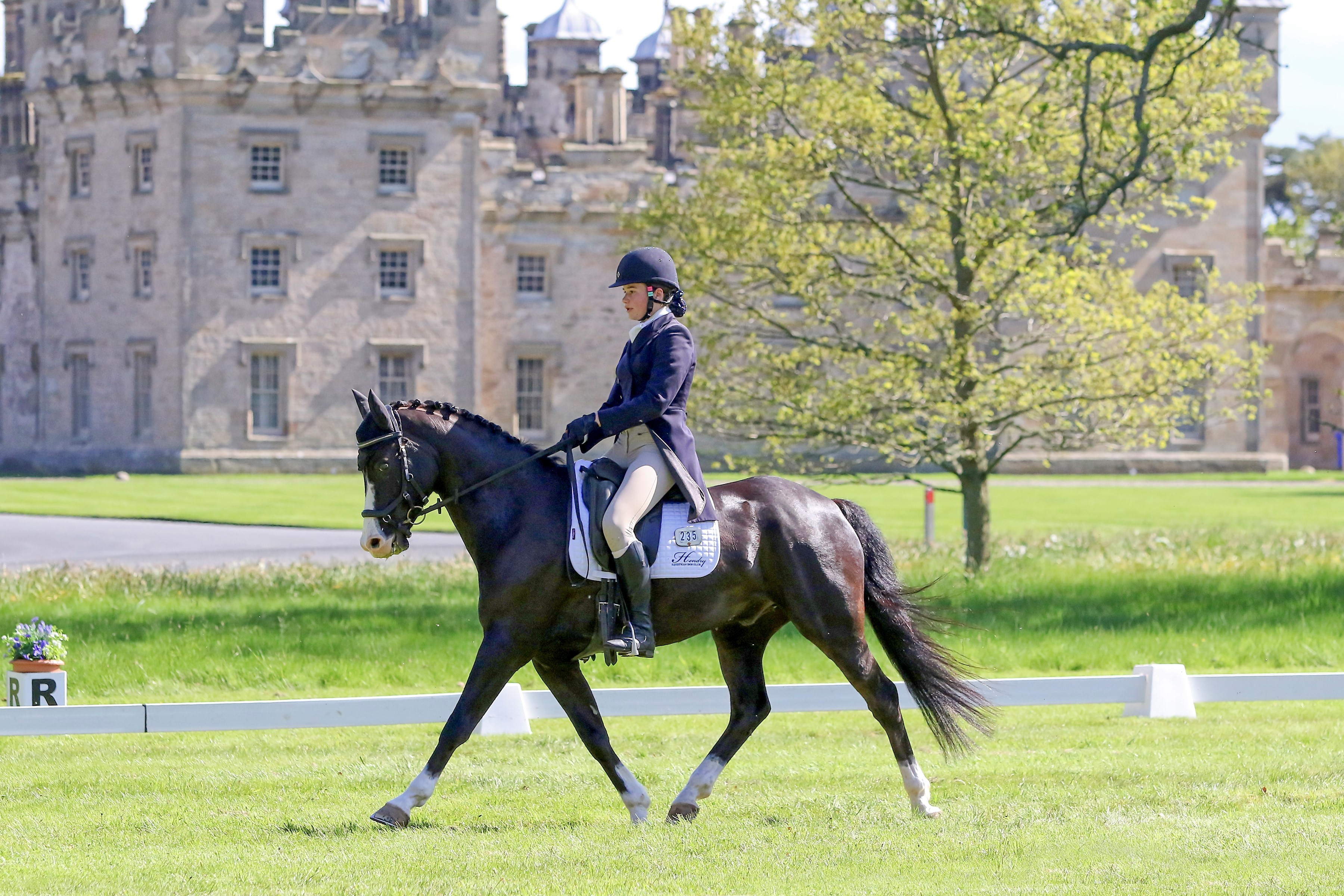 Farrah takes the reins with British Dressage team selection ...